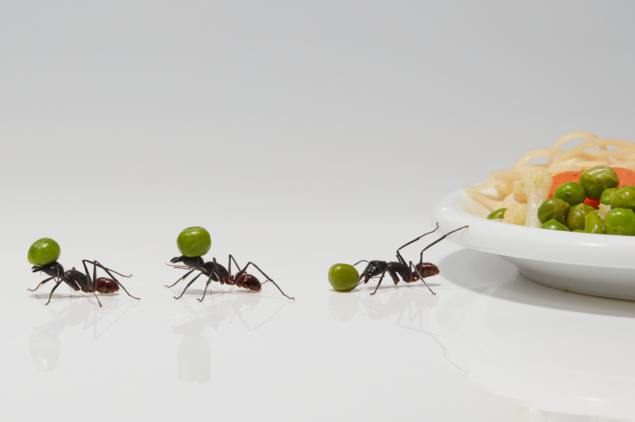 Your Guide to the Kitchen Colour Coding System | Creeds Direct